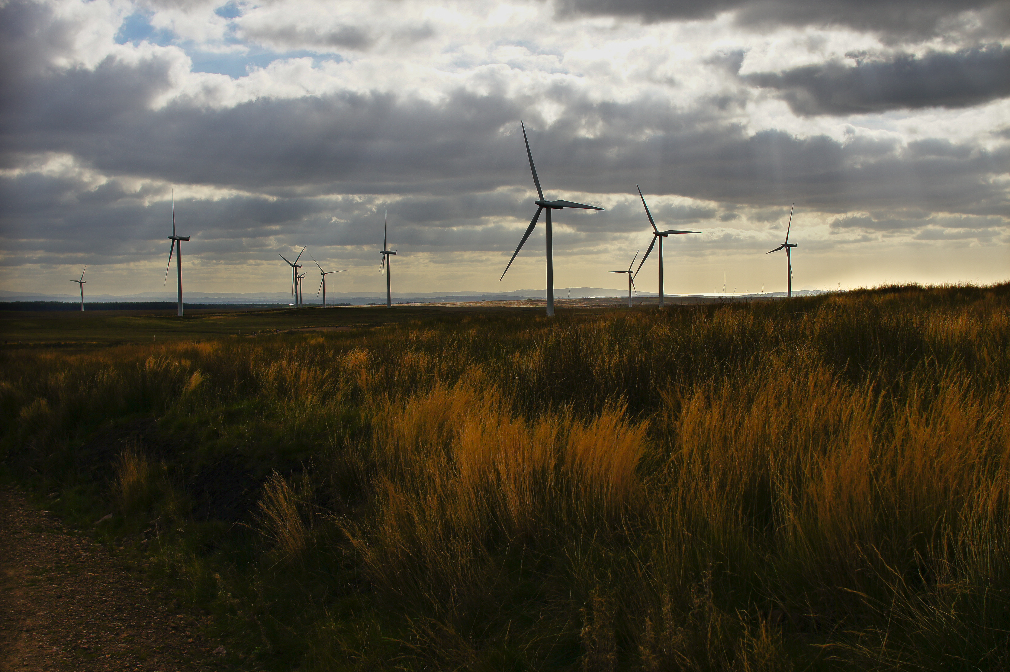 Why NPF4 is so important in helping us face the Climate Emergency