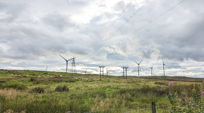Electricity Networks Commissioner's report welcomed