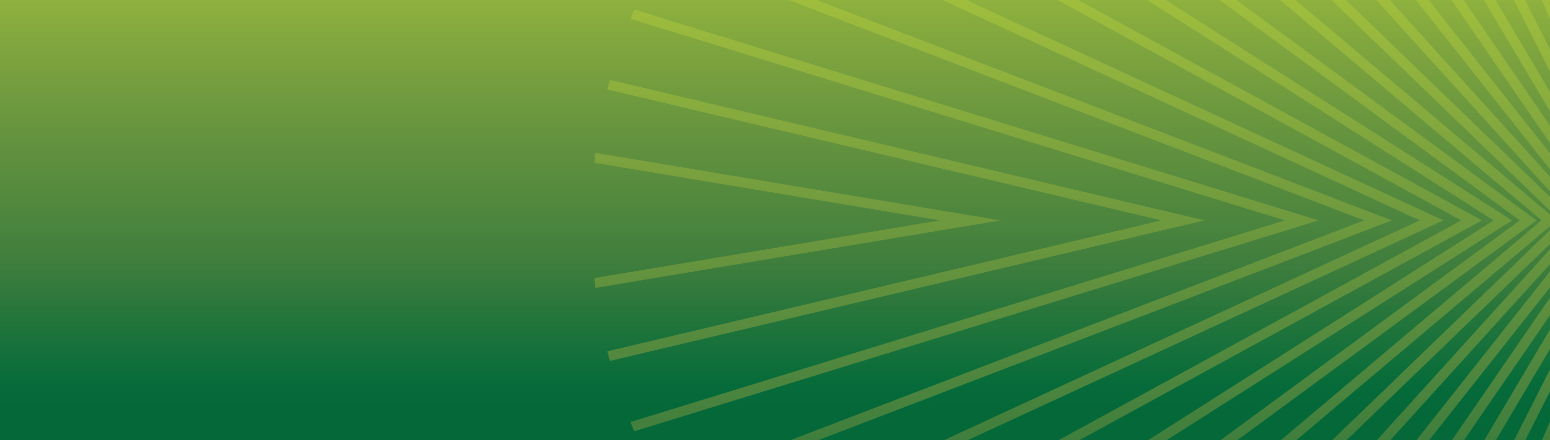 Onshore Wind Conference 2025
