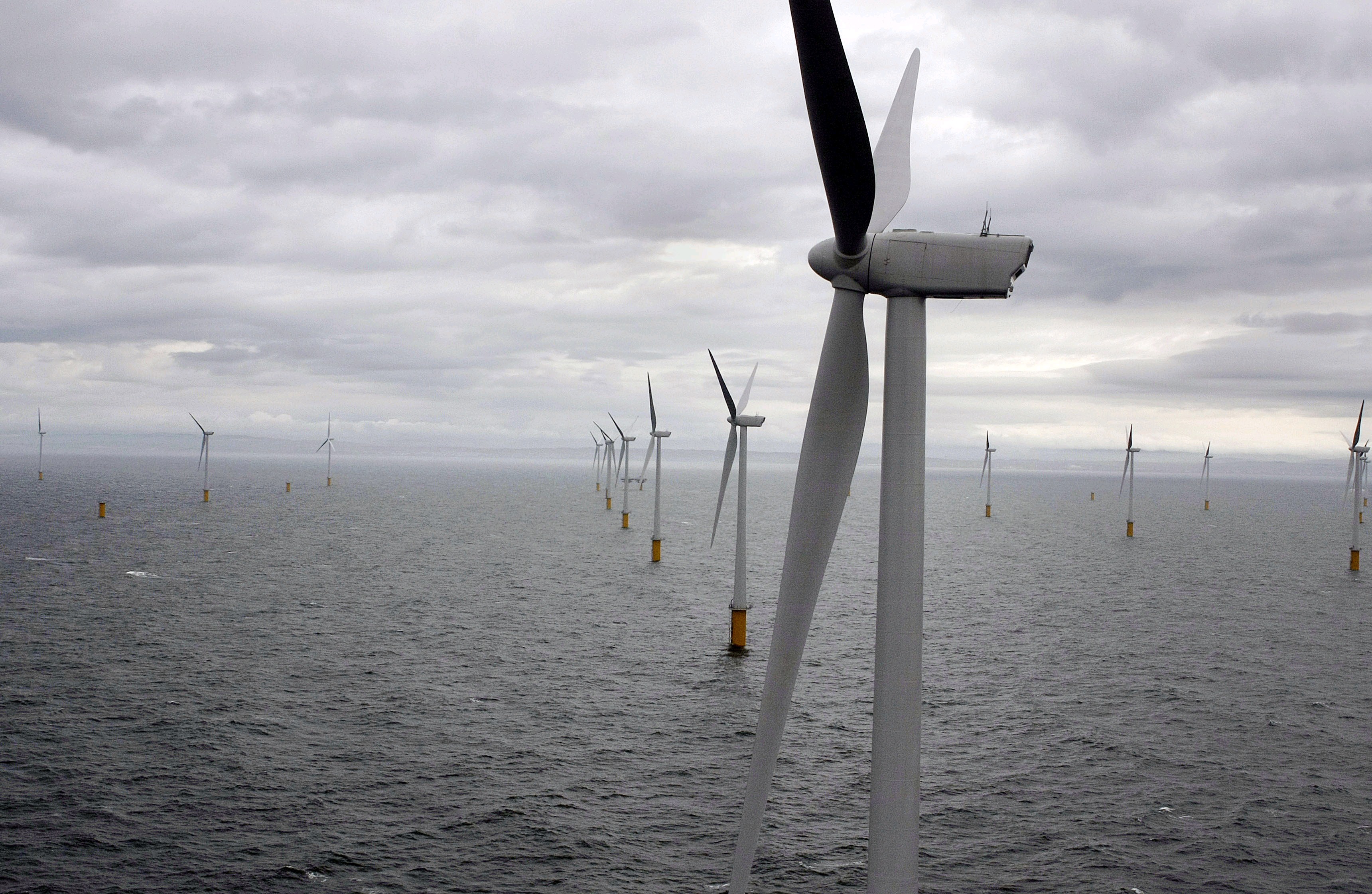 Scotland powers ahead despite North of Scotland charging penalty